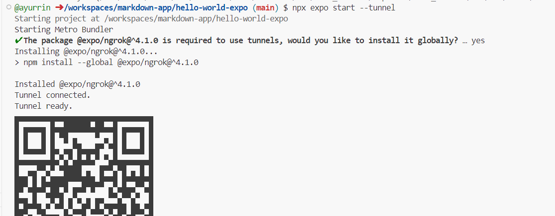 CodespacesとExpoで爆速でアプリ開発環境を作る方法 | lifetechia